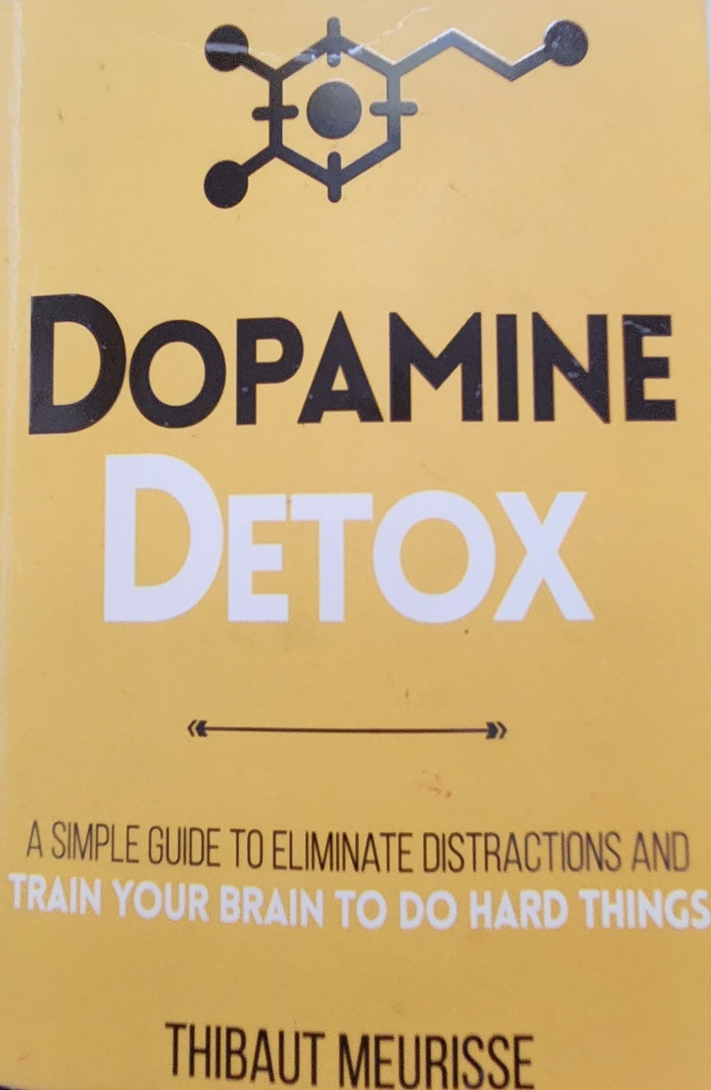 Book Review: Dopamine Detox by Thibaut Meurisse - findNextBook